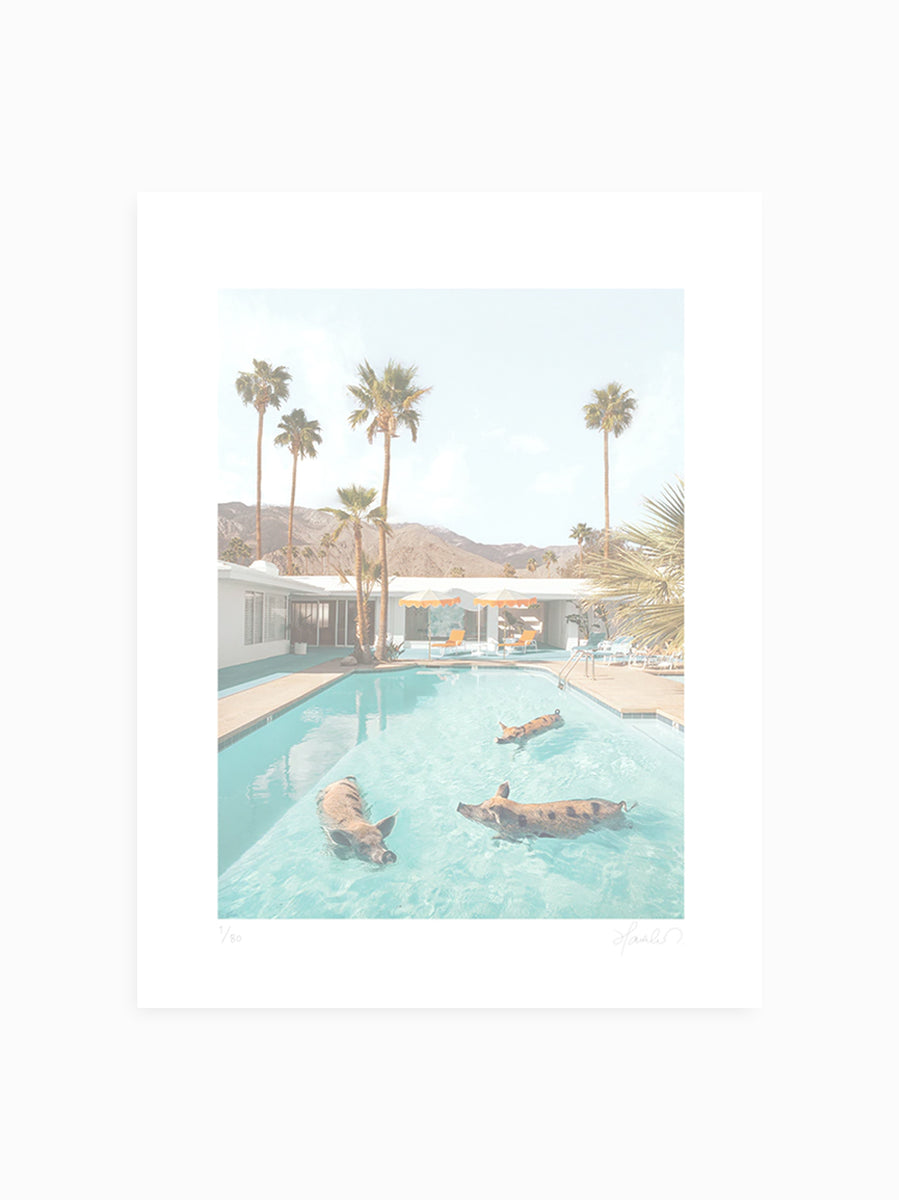 Pig Pool Party - Small – Paul Fuentes